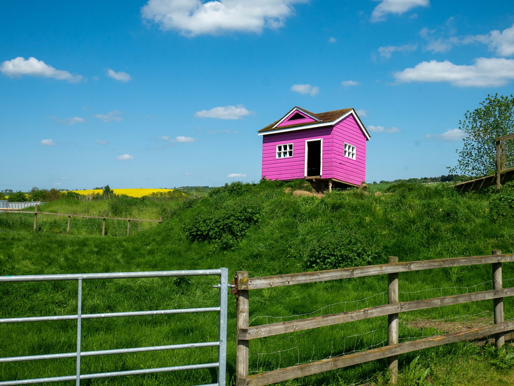 Columns - Stossel TV